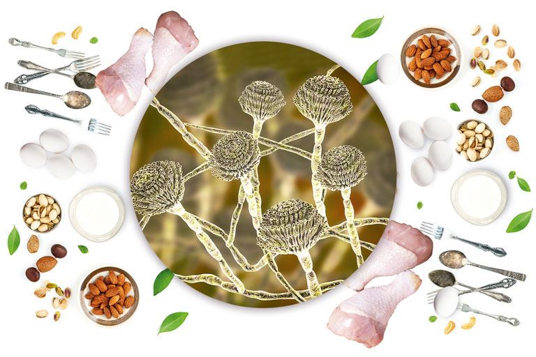 Consumo diario de aflatoxinas - Gaceta UNAM