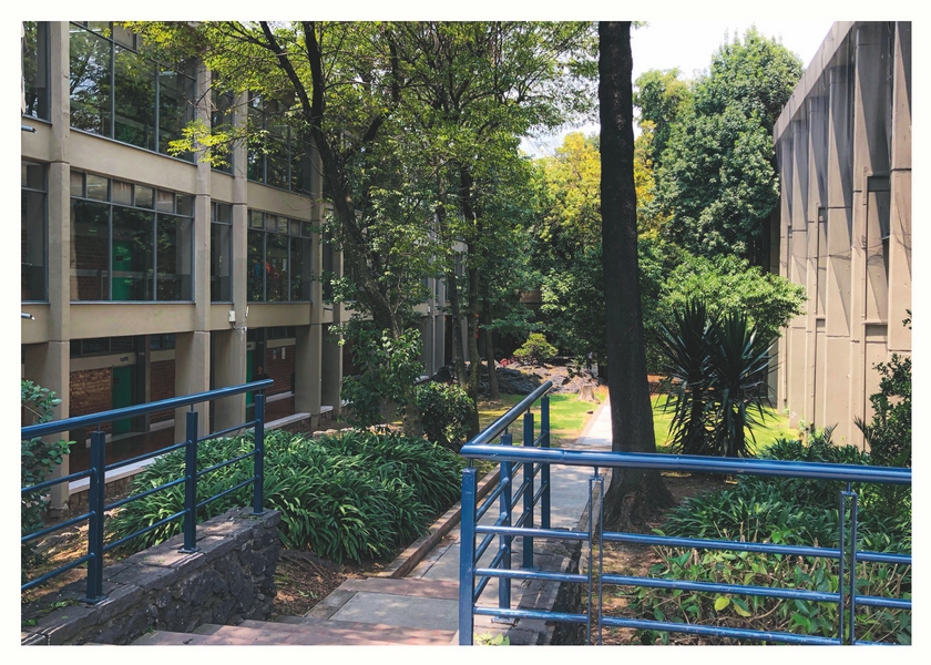 Una mirada a la Facultad de Contaduría y Administración de la UNAM ...