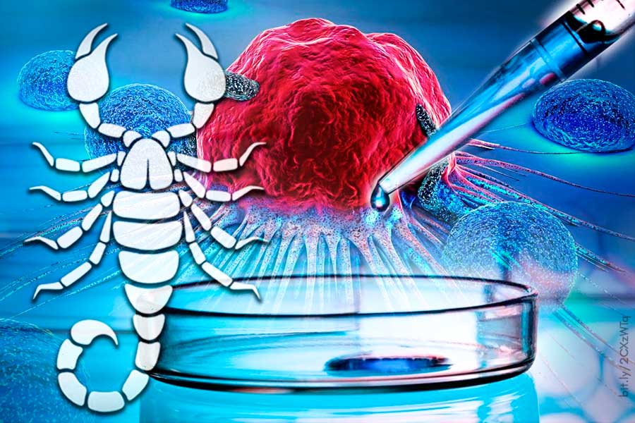 Mutante de toxina de veneno de alacrán detiene metástasis - Gaceta UNAM